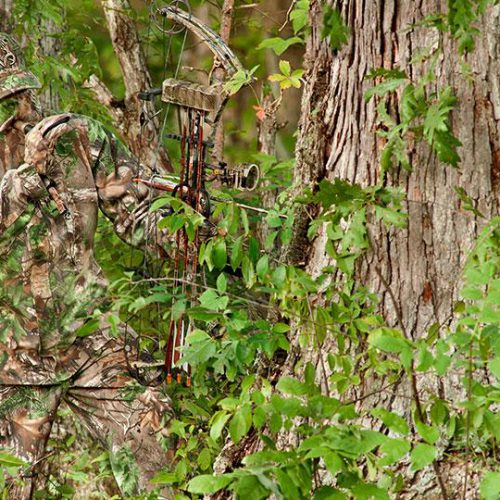 Realtree Xtra Green
