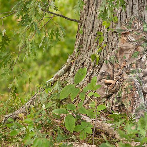 Realtree Xtra Green